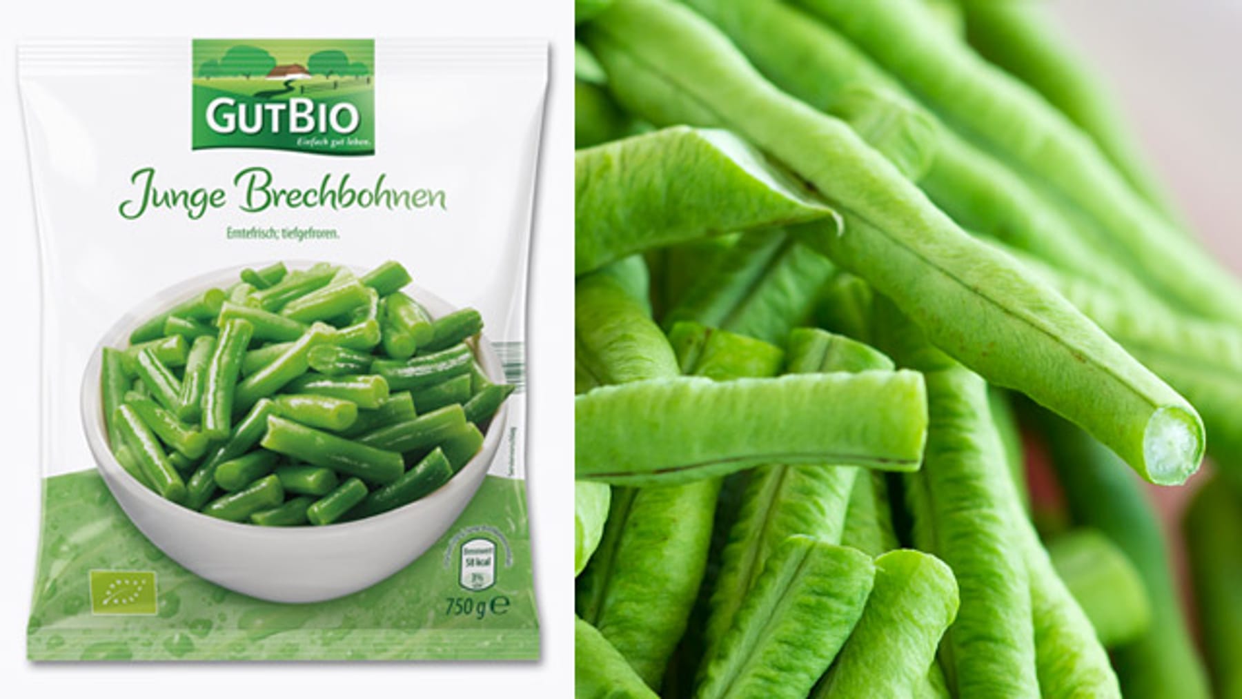 Giftiges Unkraut in Chargen von Aldi-Bohnen Giftiges Unkraut in Chargen von Aldi-Bohnen