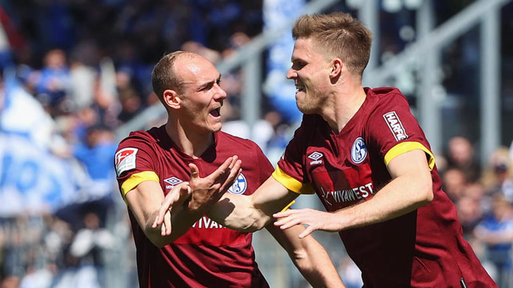 Schalke 04 Consolidates At The Top Of The Table Bremen Drops Points schalke-04-consolidates-at-the-top-of-the-table-bremen-drops-points