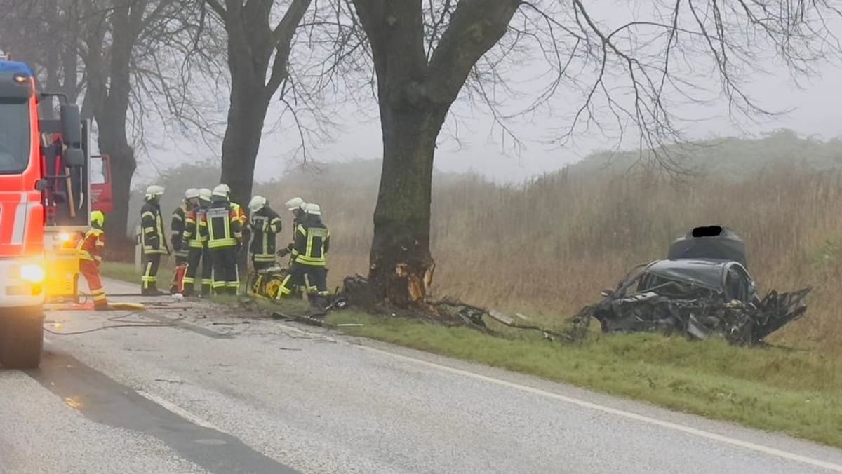 Nützen: Auto prallt mit "enormer Wucht" gegen Baum – Fahrer stirbt