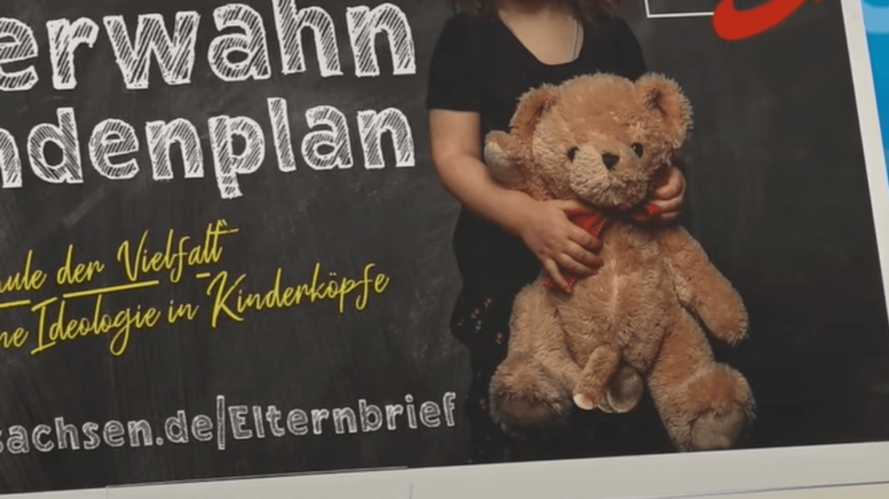 Sachsen Afd Will Umstrittene Plakate Mit Penis Teddy Auf Schulwegen