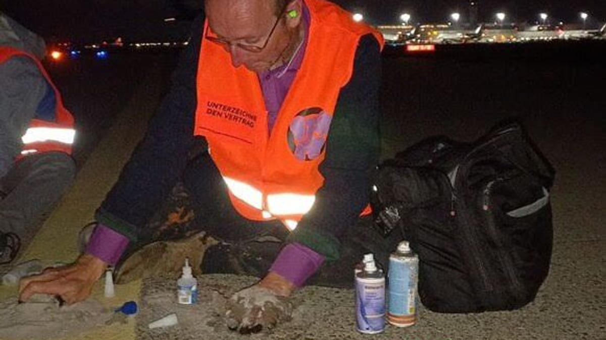 Flughafen Köln/Bonn laut "Letzte Generation"-Klimakleber "nur der Start"