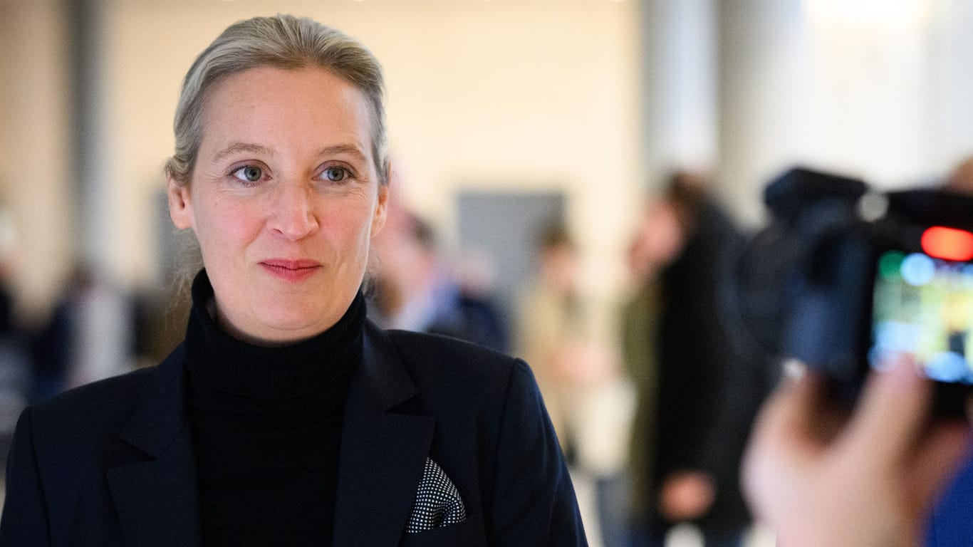 Bundestagswahl: Wählerstimmen zu Alice Weidel als AfD-Kanzlerkandidatin