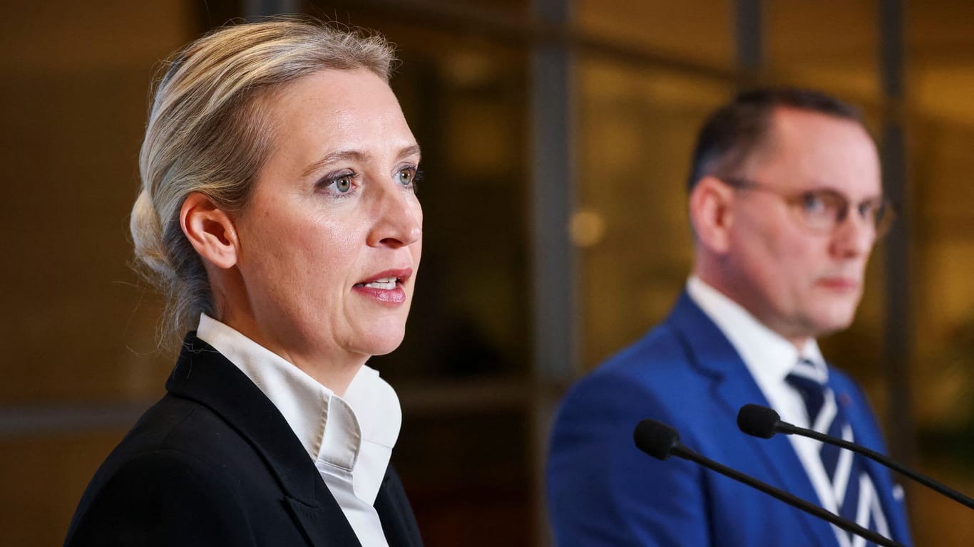 Merz' Scheitern bei Asyl-Abstimmung: "Demontage als Kanzlerkandidat"