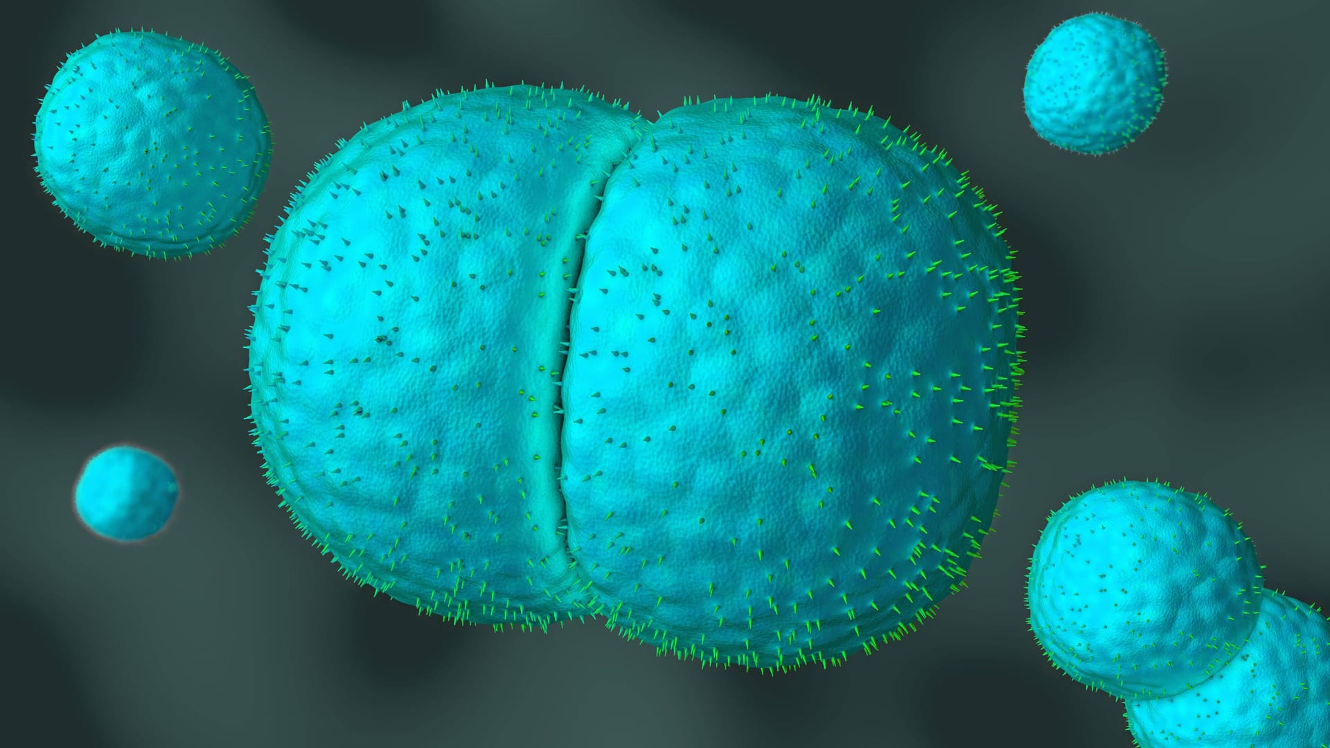 Waffenruhe mit Israel: Wie groß ist der Gazastreifen – wie entstand er?