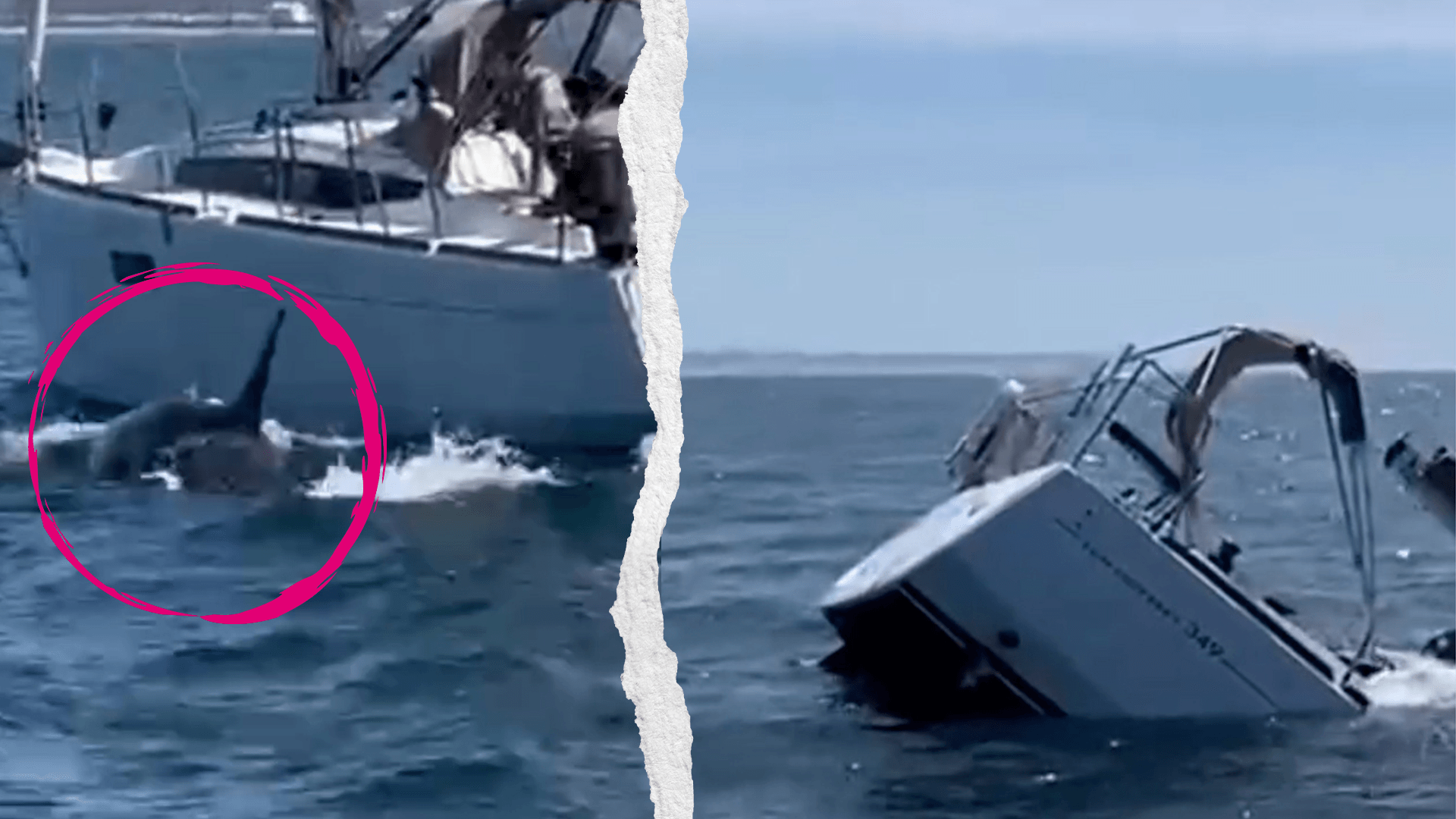 DHL: Streit eskaliert – Paketfahrer prügelt auf Frau ein