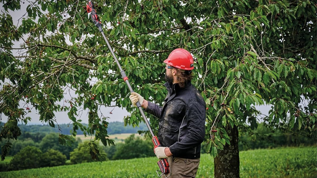 Einhell Astschere im Amazon-Deal: Jetzt günstiger als je zuvor!